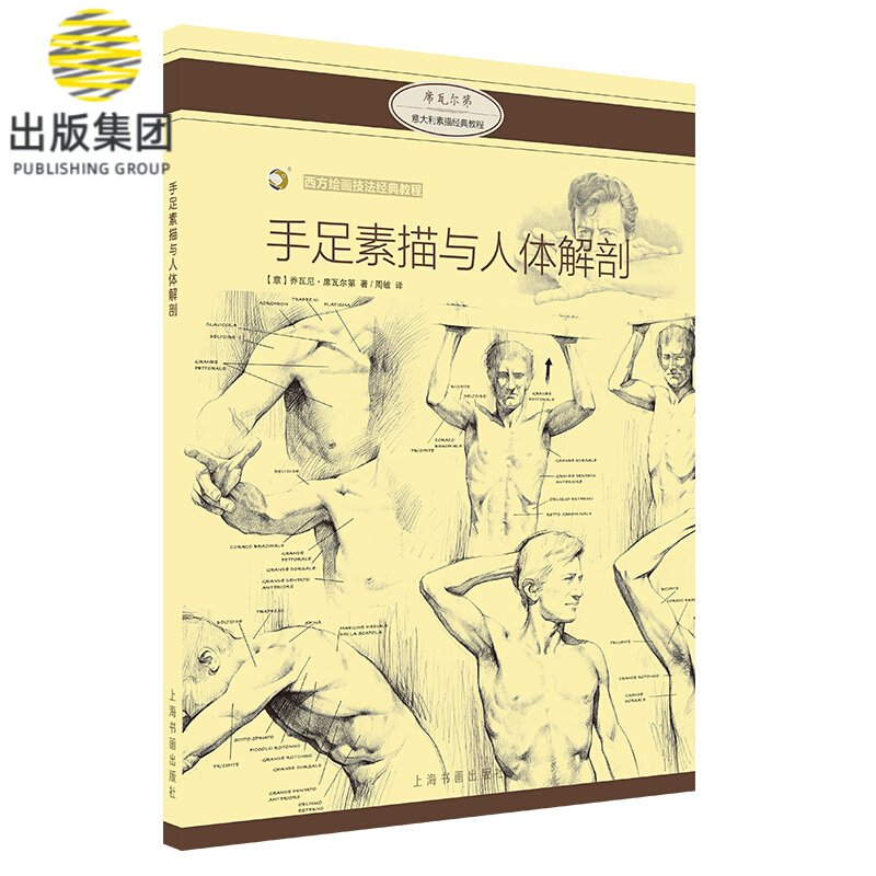 手足素描与人体解剖/西方绘画技法经典教程