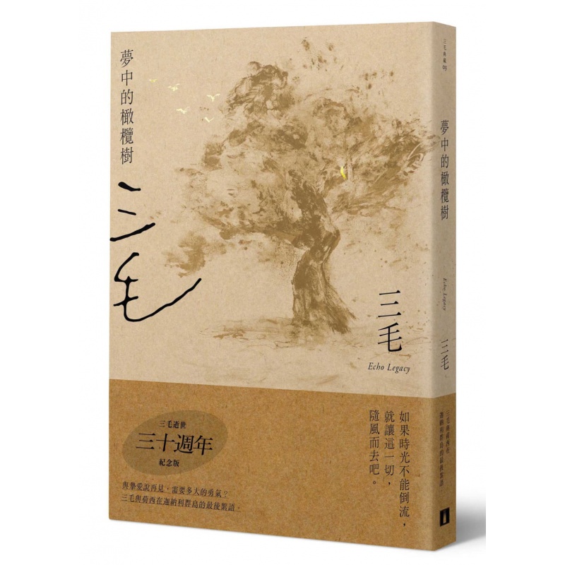 三毛 梦中的橄榄树 温馨励志人生旅途文学小说