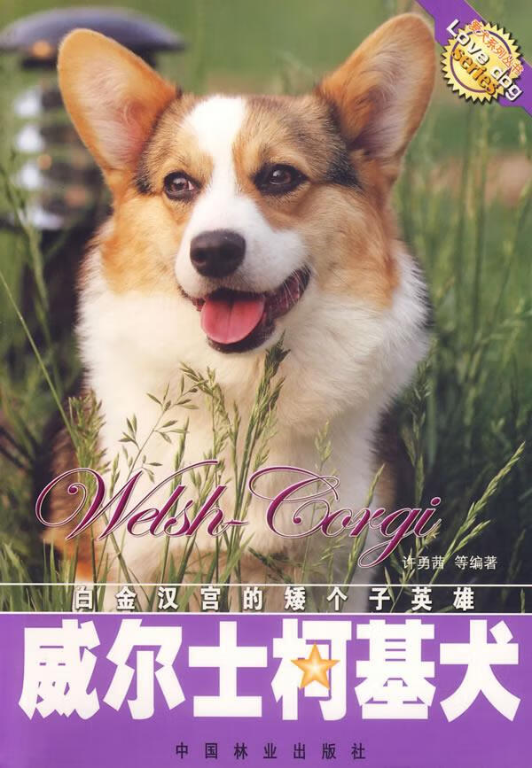 威尔士柯基犬 许勇茜 等编著