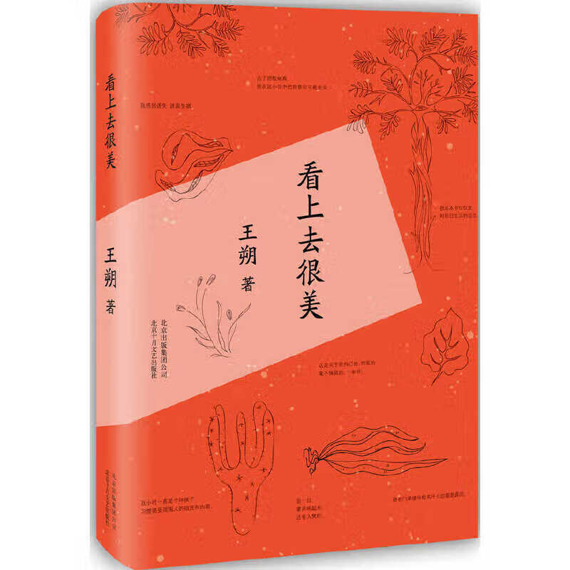 全新 看上去很美