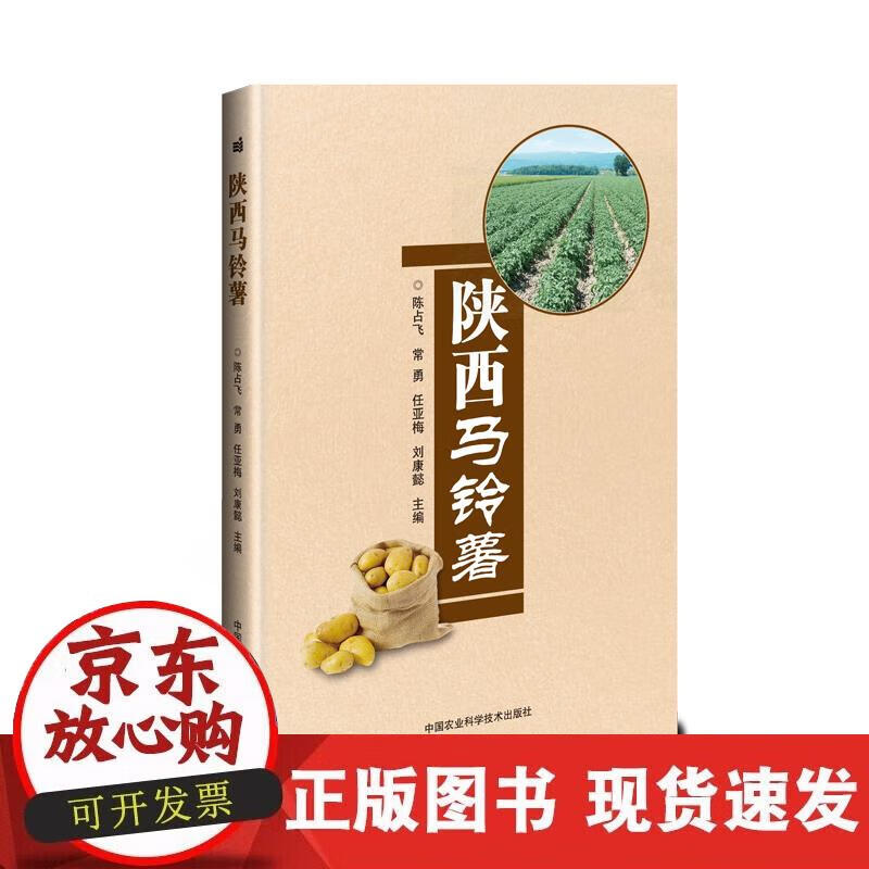 【现货】陕西马铃薯