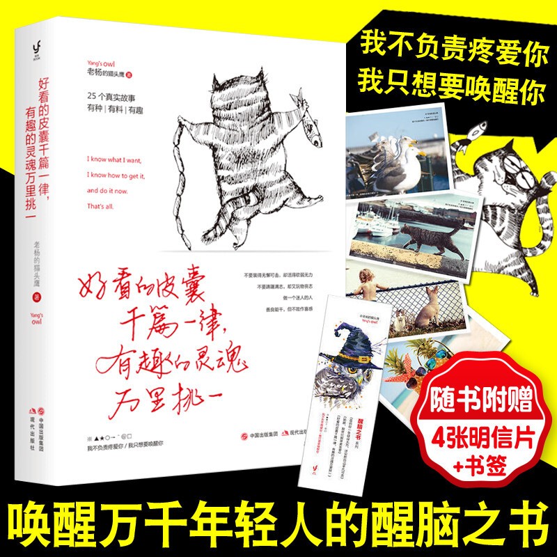 好看的皮囊千篇一律 有趣的灵魂万里挑一 老杨的猫头鹰醒脑之书系列三 热爱可抵岁月漫长