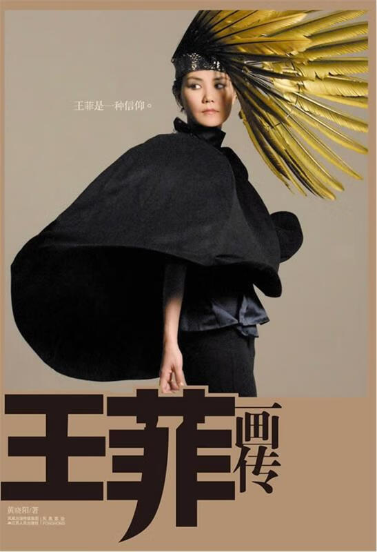 王菲画传 黄晓阳