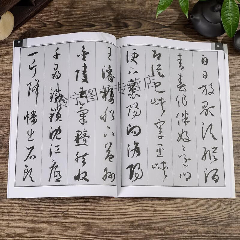 集孙过庭书好诗 书谱 草书集字毛笔书法作品唐诗字帖