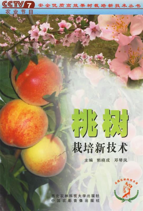 桃树栽培新技术