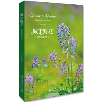 城市野花 王辰 著【书】