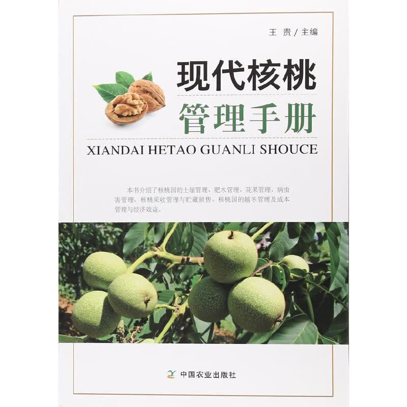现代核桃管理