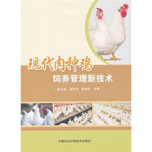 现代肉种鸡饲养管理新技术陈合强农业/林业9787511618979 肉鸡饲养管理