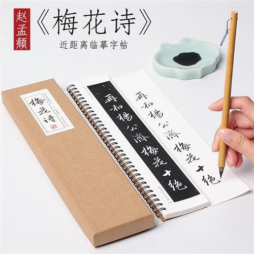 元代赵孟頫《梅花诗》行书毛笔书法帖碑帖全集近距离临摹字帖 梅花诗字卡