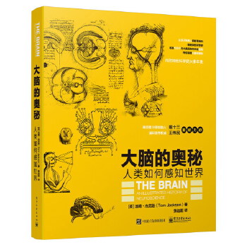 大脑的奥秘:人类如何感知世界