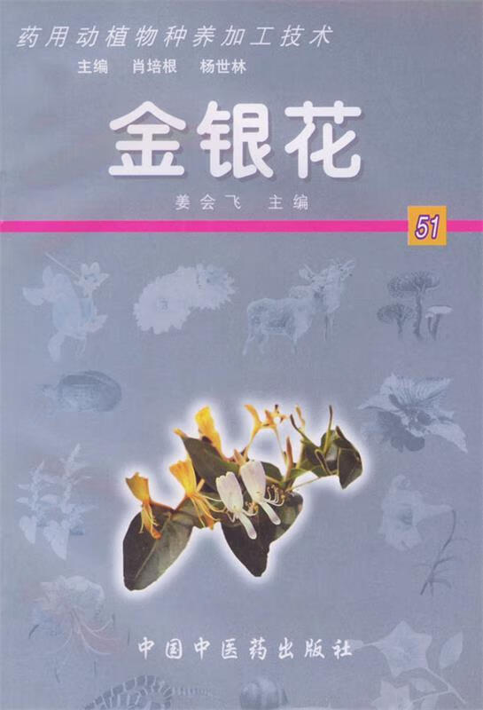 金银花—药用动植物种养加工技术