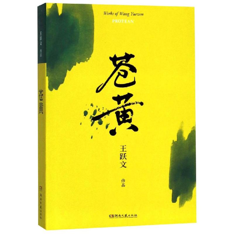 苍黄 湖南文艺出版社 王跃文 著