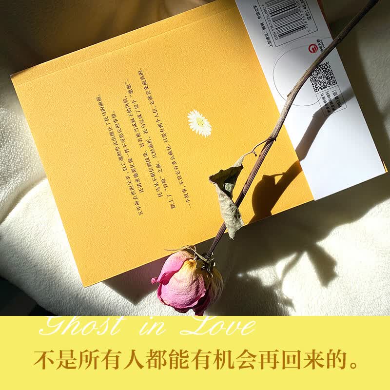 来不及说的爱