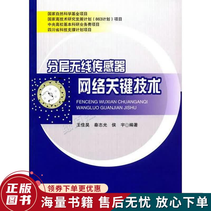 分层无线传感器网络关键技术