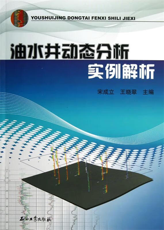 油水井动态分析实例解析 宋成立,王晓翠 主编 石油工业出版社