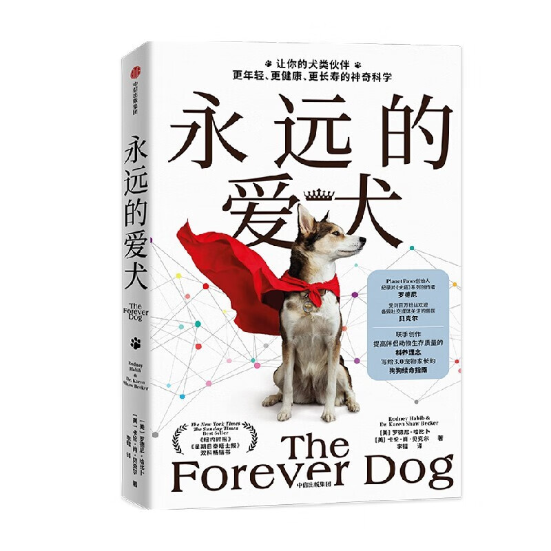 永远的爱犬罗德尼B7哈比卜等著