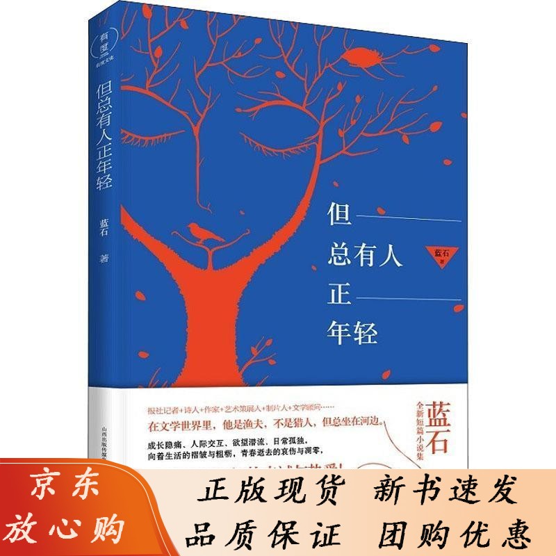有人正年轻蓝石 小说书籍