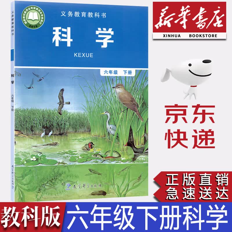 2023适用小学新版教科版6六年级下册科学书课本教材教科书 新版六6年级下册科学教科版书教育科学出版社课本