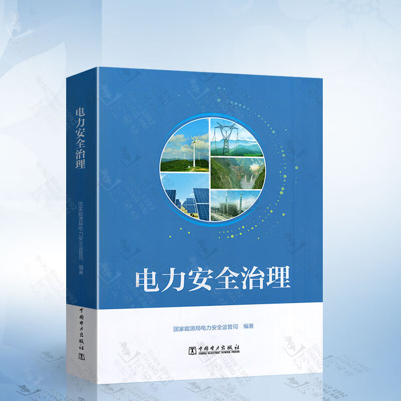 电力安全治理