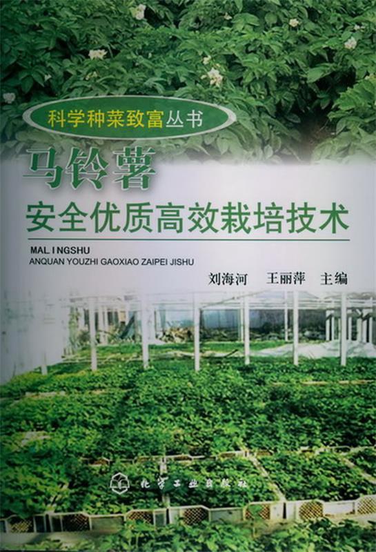 科学种菜致富丛书--马铃薯安全优质高效栽培技术