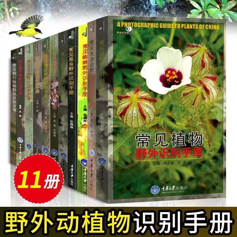 动植物科普类中小学百科书籍全11册常见植物昆虫爬行海滨蜗牛南方野花蘑菇昆虫天牛蜘蛛蝴蝶野识别手册