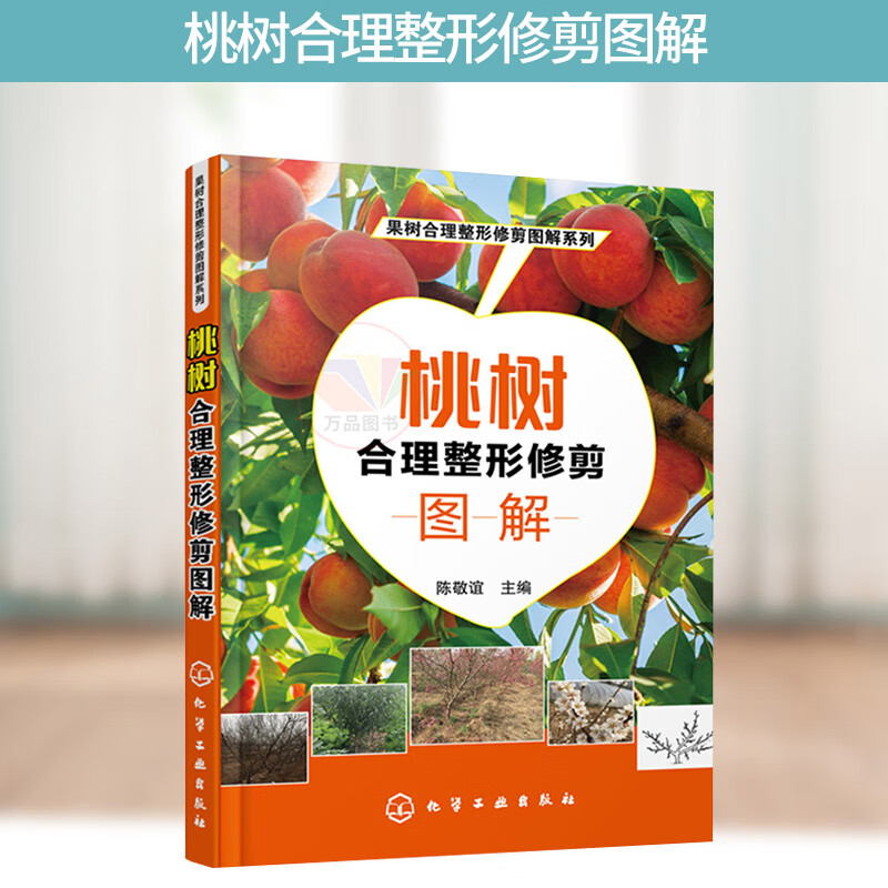 果树合理整形修剪图解系列 桃树合理整形修剪图解 本书以图文并茂的方式介绍果树整形修剪的基础 注重实