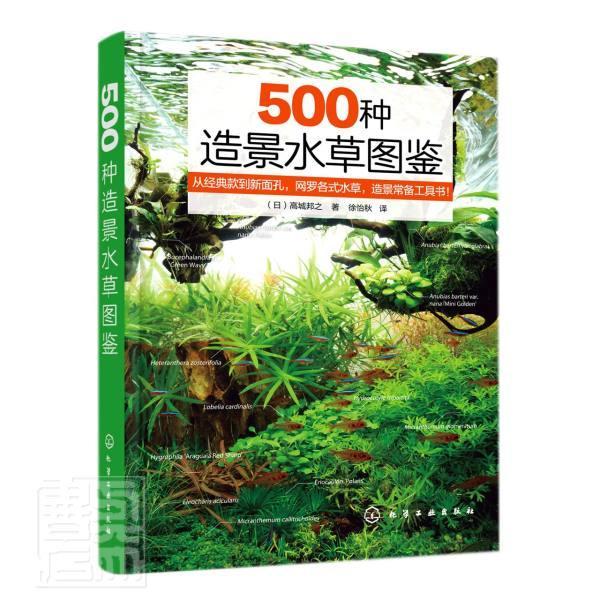 500种造景水草图鉴(精)家居水生维管束植物观赏园艺图集普通大众图书