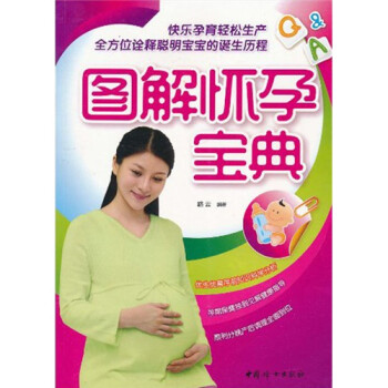 图解怀孕宝典 路云 著
