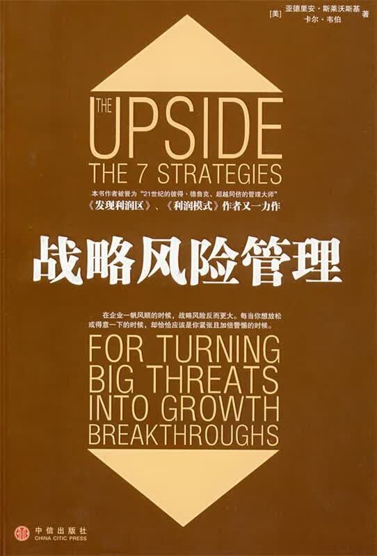 战略风险管理