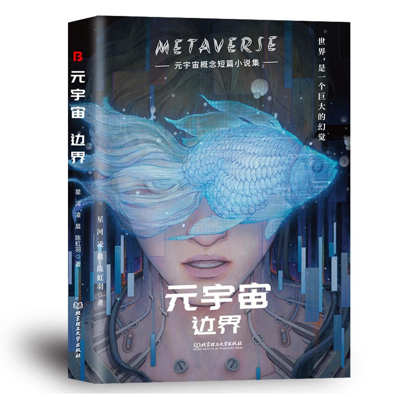 元宇宙：边界 (元宇宙概念短篇小说集。人类命运、人机关系、科技道德、宇宙空间这个时代有什么新变迁？)