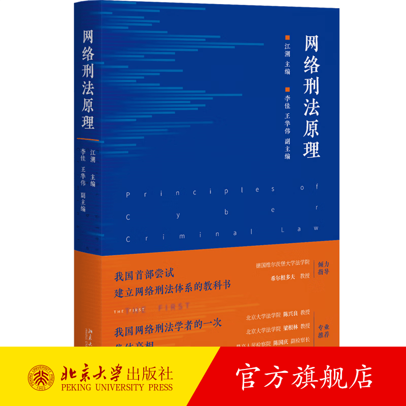 网络刑法原理 江溯 北京大学出版社