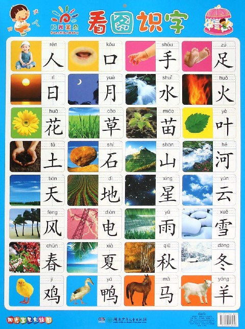 看图识字/阳光宝贝大挂图