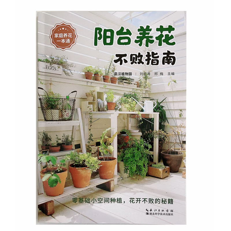 阳台养花不败指南
