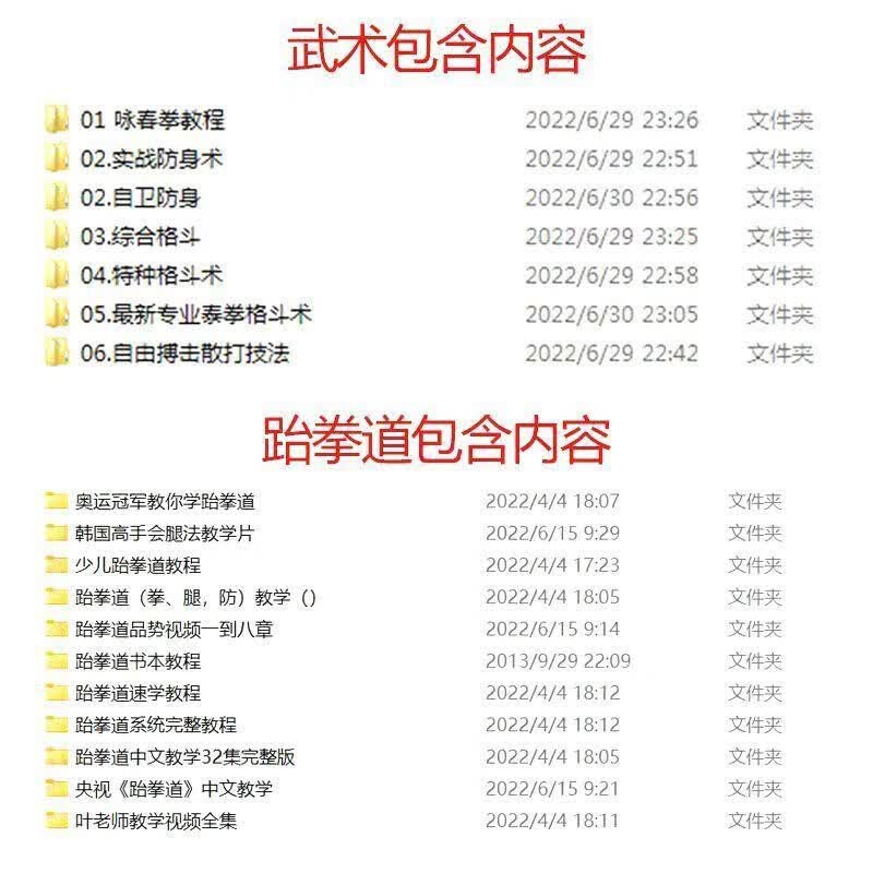 64G全套武术格斗教学实战咏春泰拳擒拿散打跆拳道防身术视频U优盘精印版 64G U盘(武术格斗+跆拳道)