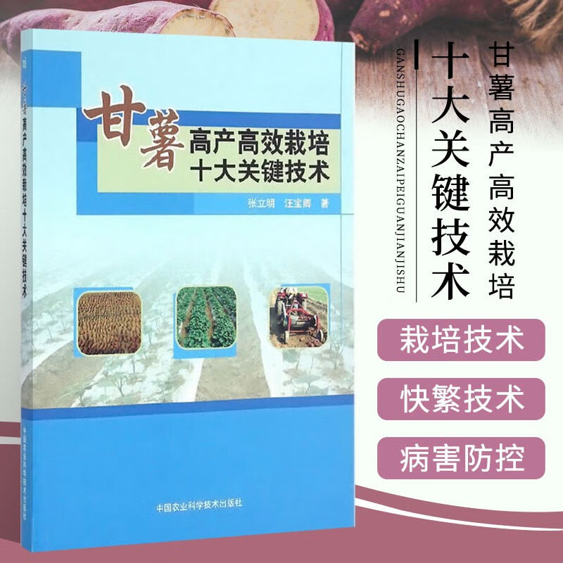 甘薯高产高效栽培十大关键技术 优质高产甘薯绿色高产高效种植技术种植业 甘薯育苗方法 地瓜高效栽培管理紫薯栽培技术大全书籍
