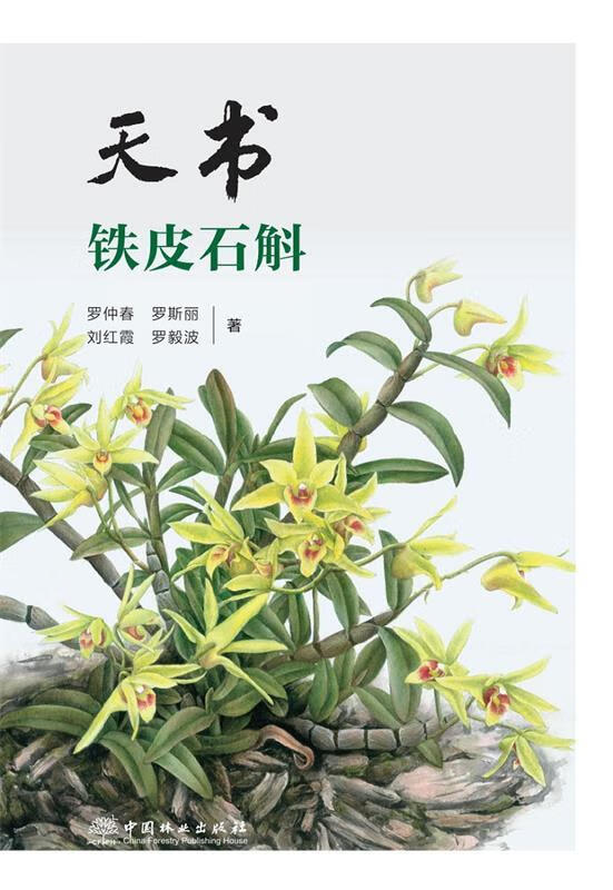 【 送货上门】天书 铁皮石斛