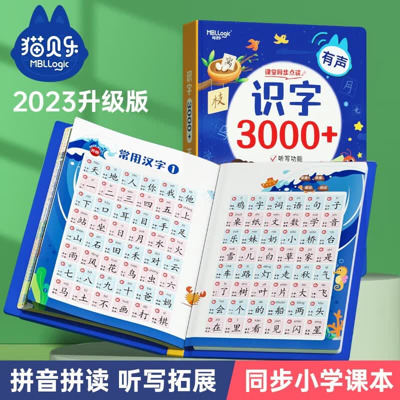 冯式早教无图识字卡片 幼儿童启蒙教育认字卡早教学前生字卡大王全套3000字 识字3000有声点读书