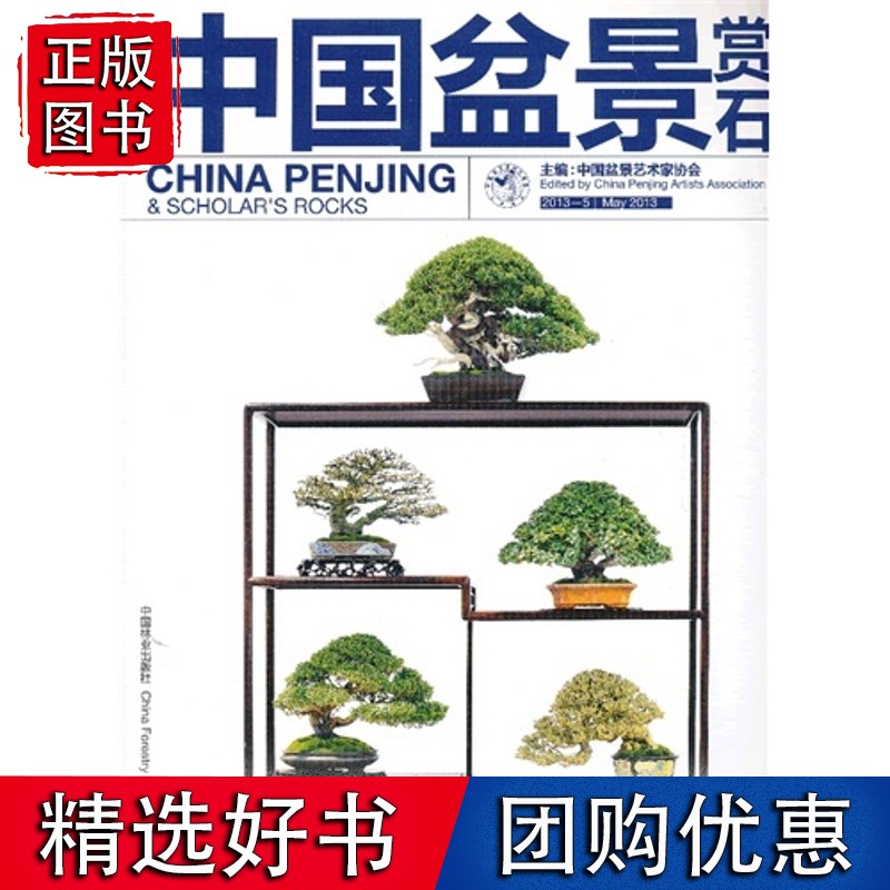 中国盆景赏石2013-5