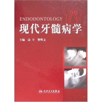 现代牙髓病学 樊明文,边专【书】