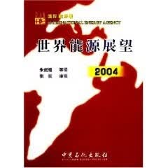 世界能源展望2004 朱起煌