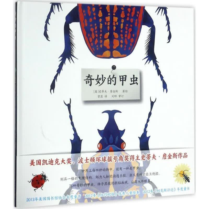 奇妙的甲虫