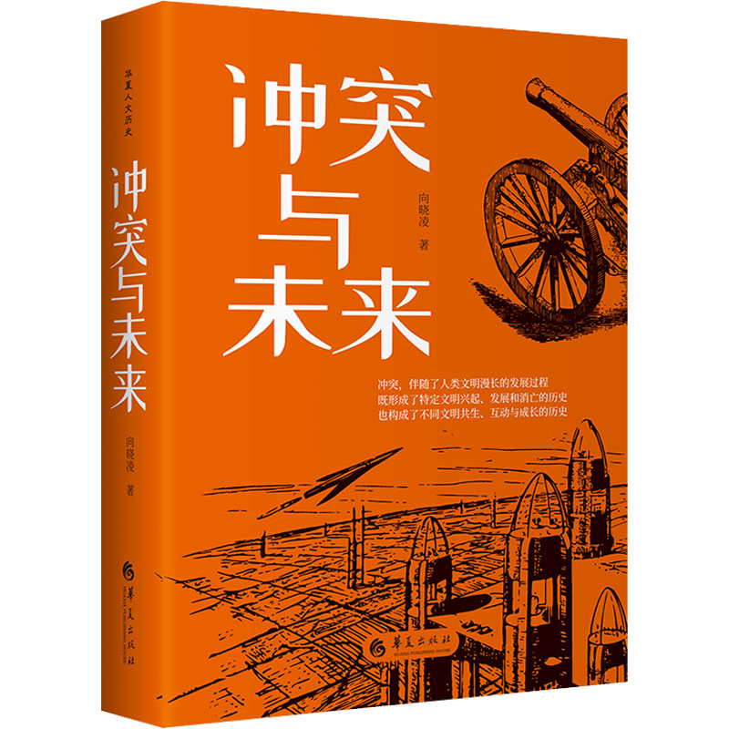 冲突与未来 向晓凌 书籍