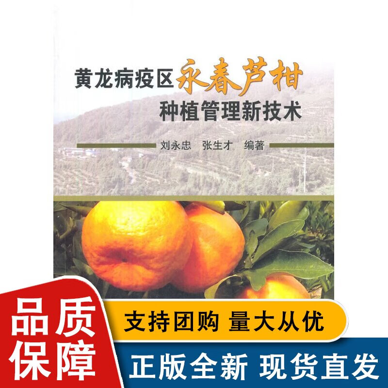 黄龙病疫区永春芦柑种植管理新技术