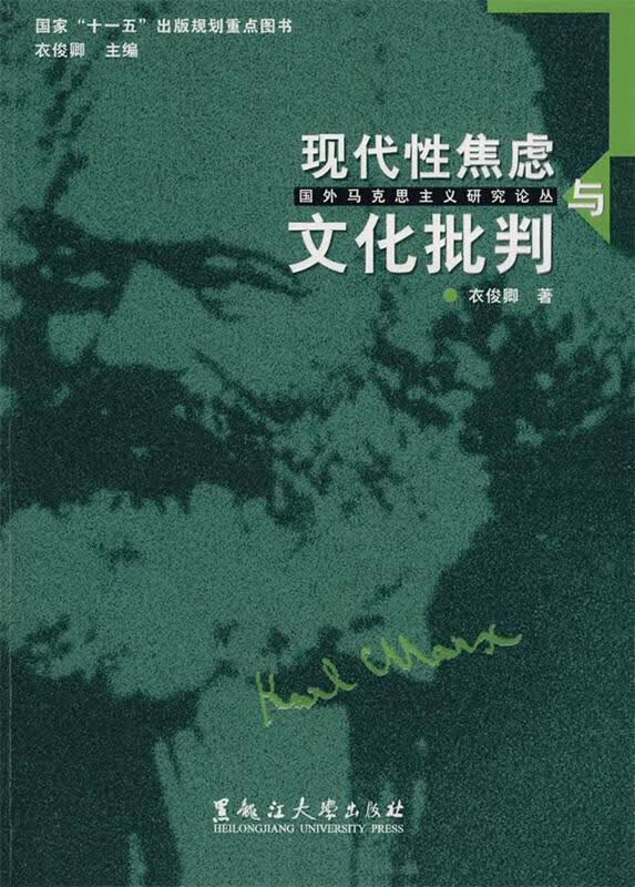 国外马克思主义论丛—现代性焦虑与文化批判 衣俊卿 著