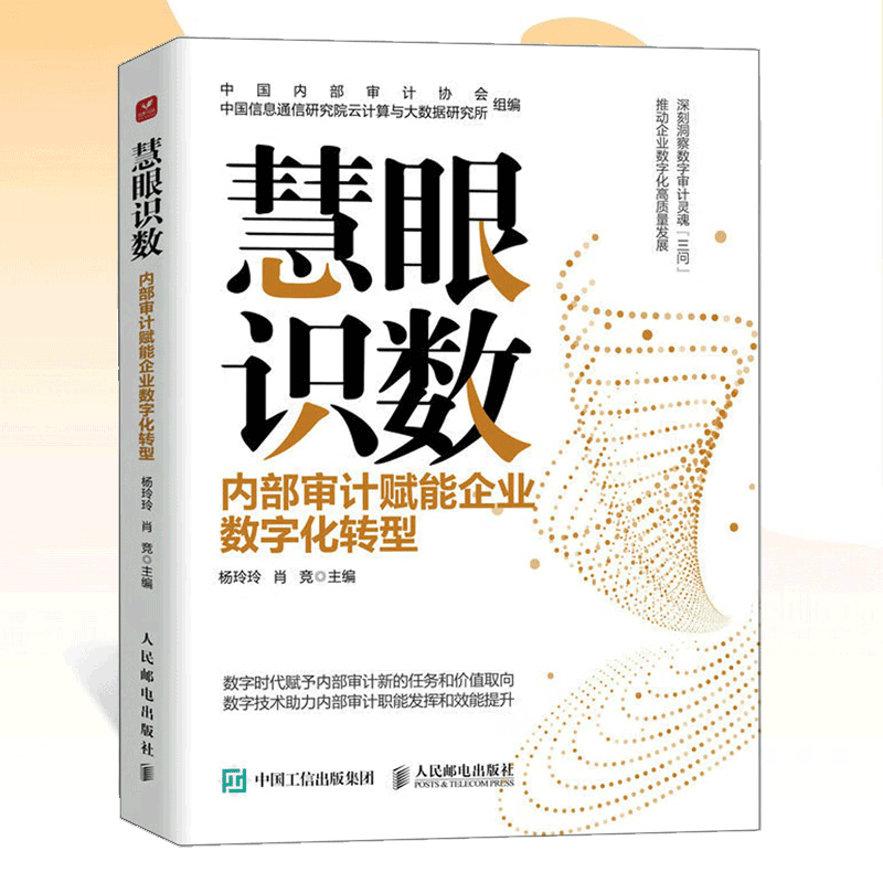慧眼识数(内部审计赋能企业数字化转型) 杨玲玲,肖竞 编 企业管理生活 籍 人民邮电出版社
