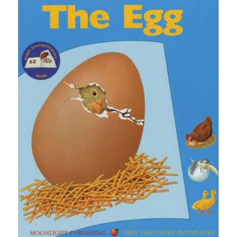 英文原版 EGG, THE PAPERBACK
