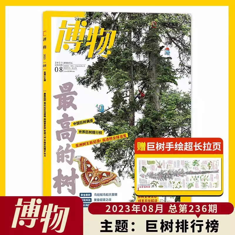 博物杂志2023年8月 高大的树 2022年 2021年（下单可选择期数）青少年中小学生自然人文百科科普书 博物君式科普 中国国家地理杂志出品 博物杂志 2023年8月第8期 最高的树
