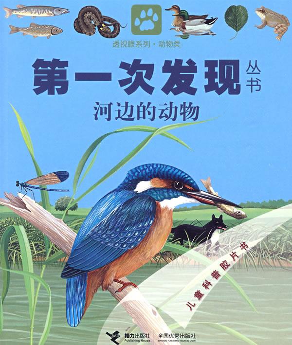 河边的动物
