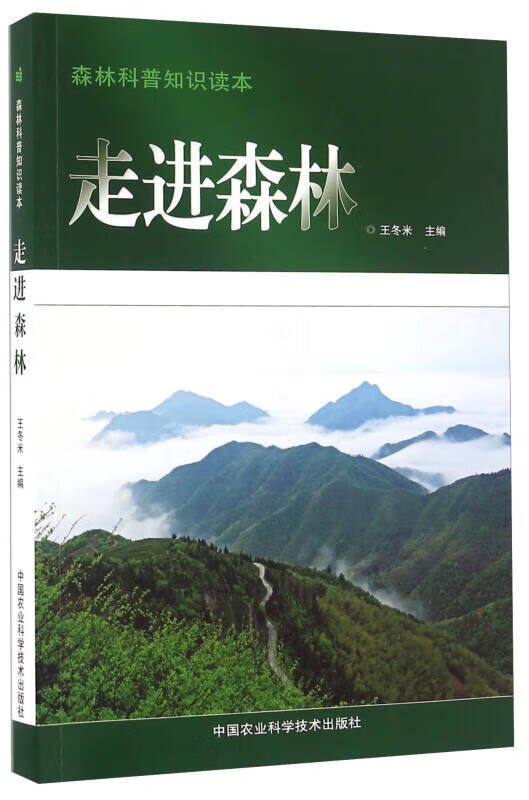 走进森林