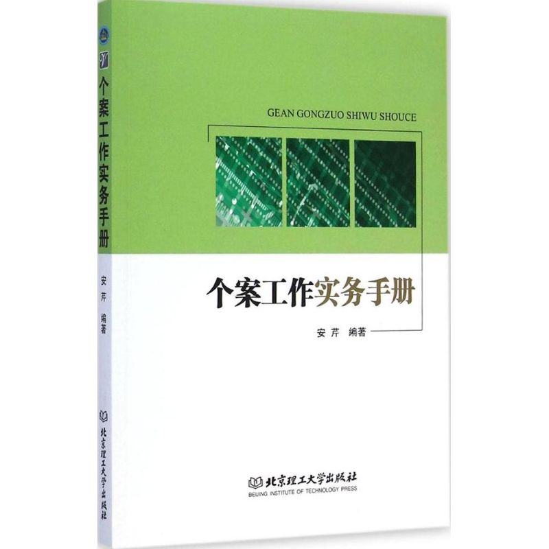 个案工作实务手册 安芹 编 书籍